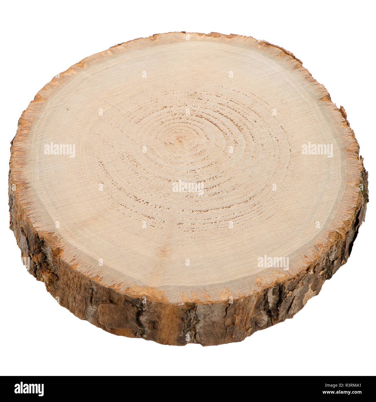 Wood log slice cutted tree trunk isolated on white Stock Photo - Alamy