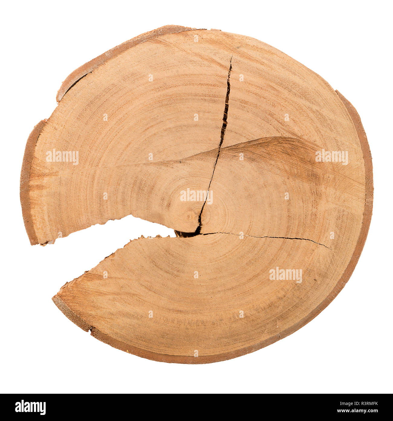 Wood log slice cutted tree trunk isolated on white, top view Stock ...