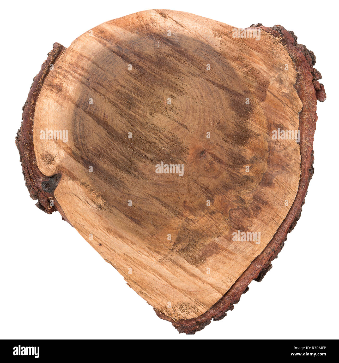 Wood log slice cutted tree trunk isolated on white, top view Stock ...