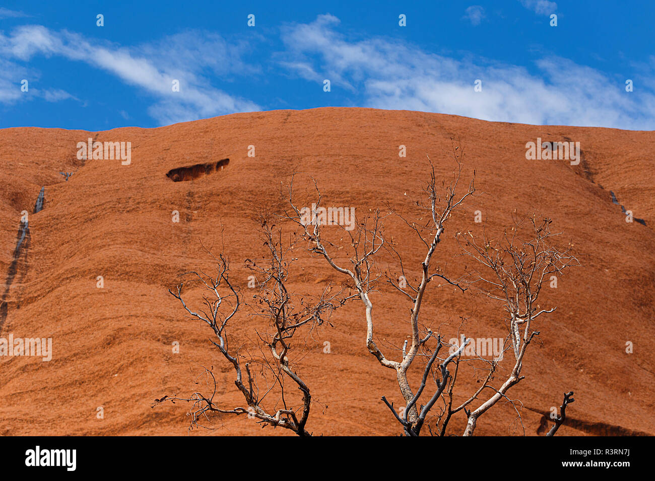the red rock, ayers rock-australia Stock Photo - Alamy