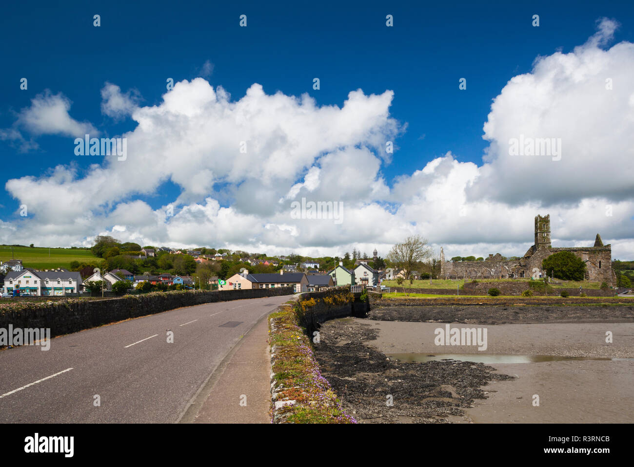 Ireland, County Cork, Timoleague, Timoleague Abbey ruins, 13th century ...