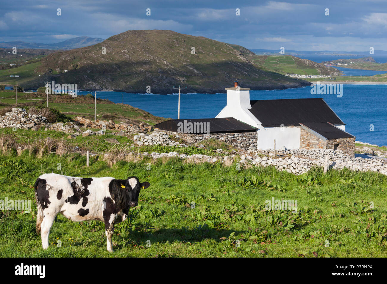 Ireland, County Cork, Mizen Head Peninsula, Mizen Head, landscape with ...