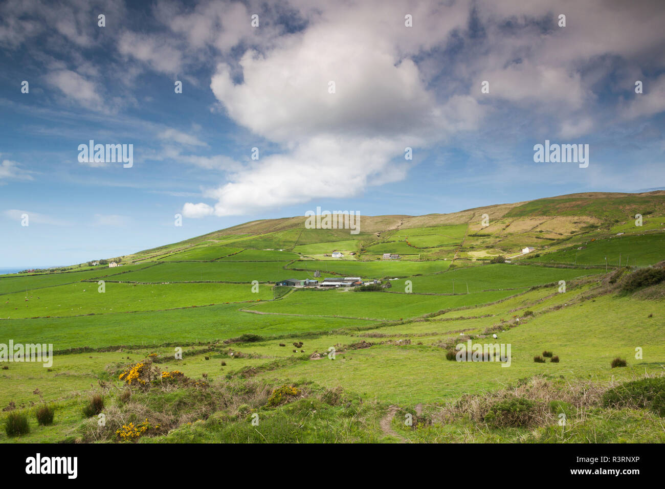 Ireland, County Cork, Beara Peninsula, Ring of Beara, Cahermore ...