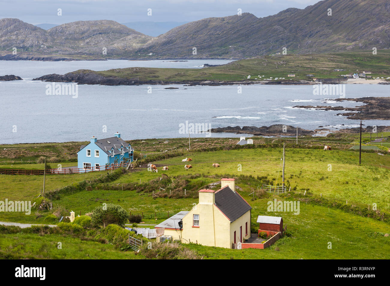 Ireland, County Cork, Beara Peninsula, Ring of Beara, Garnish, elevated ...