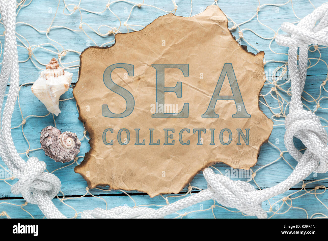 Seashell collection flat lay hi-res stock photography and images - Alamy