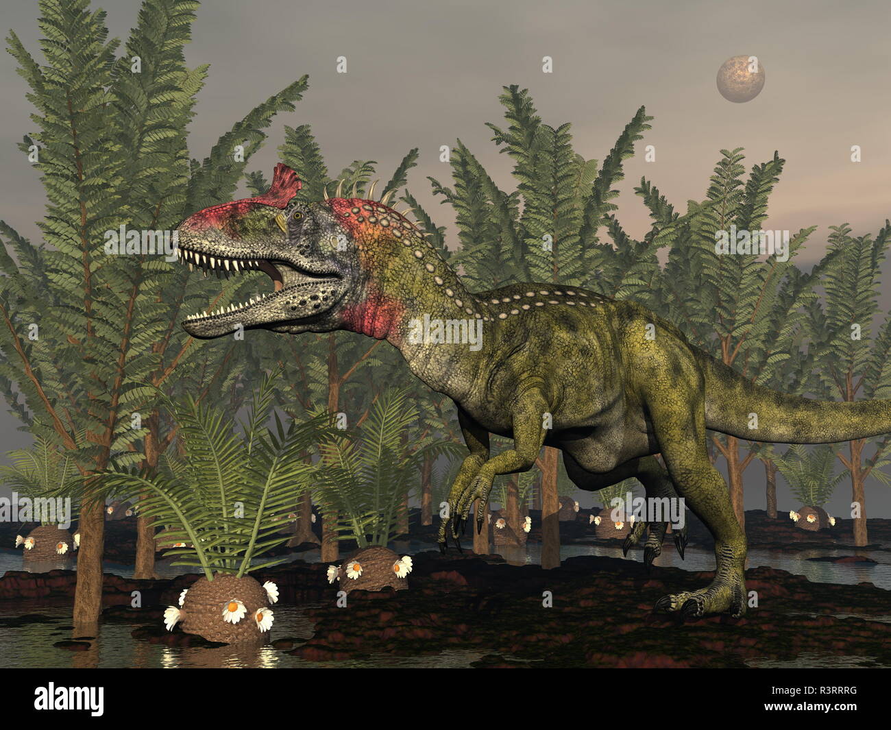 Pachypteris hi-res stock photography and images - Alamy