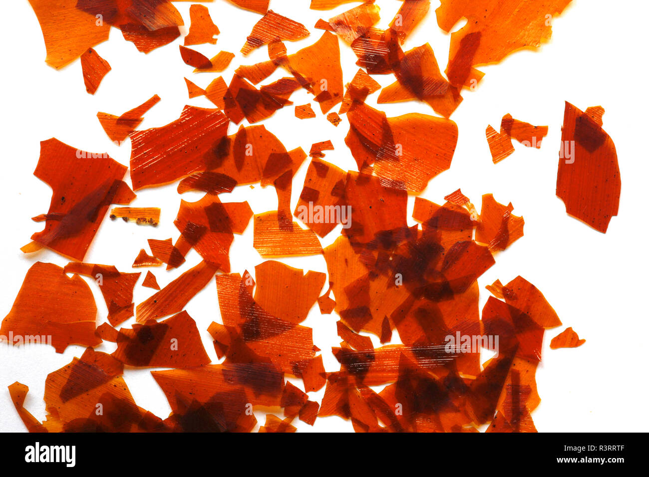 Shellac hi-res stock photography and images - Alamy