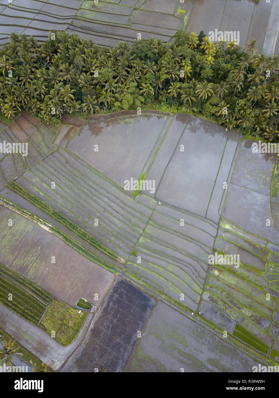 Indonesia, Bali, Aerial view of Bali island Stock Photo - Alamy