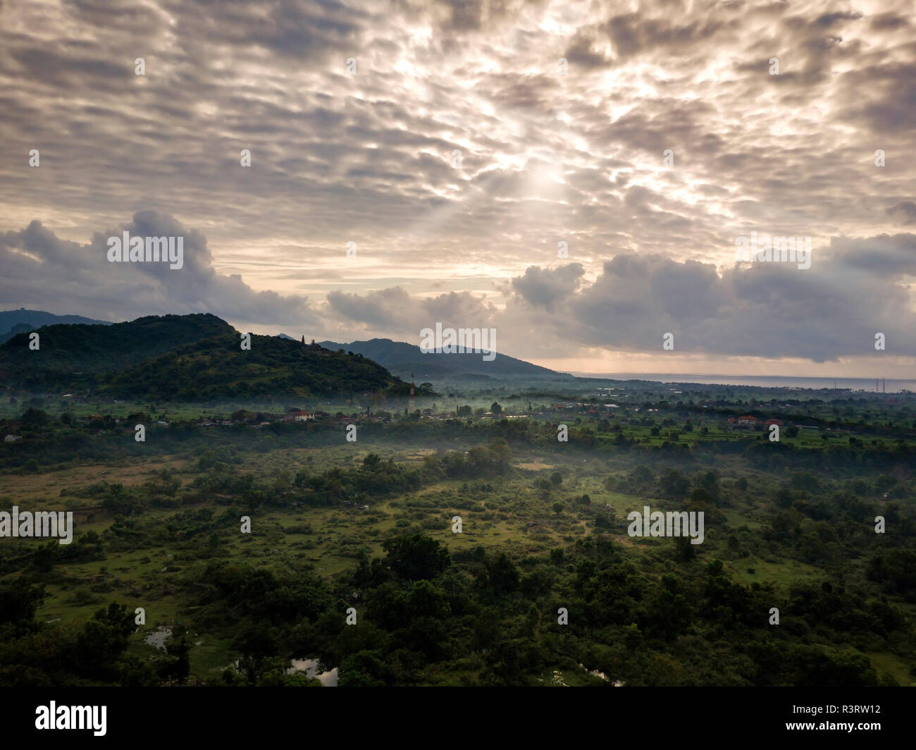 The atmosphere of rice fields in indonesia where the rice hi-res stock ...