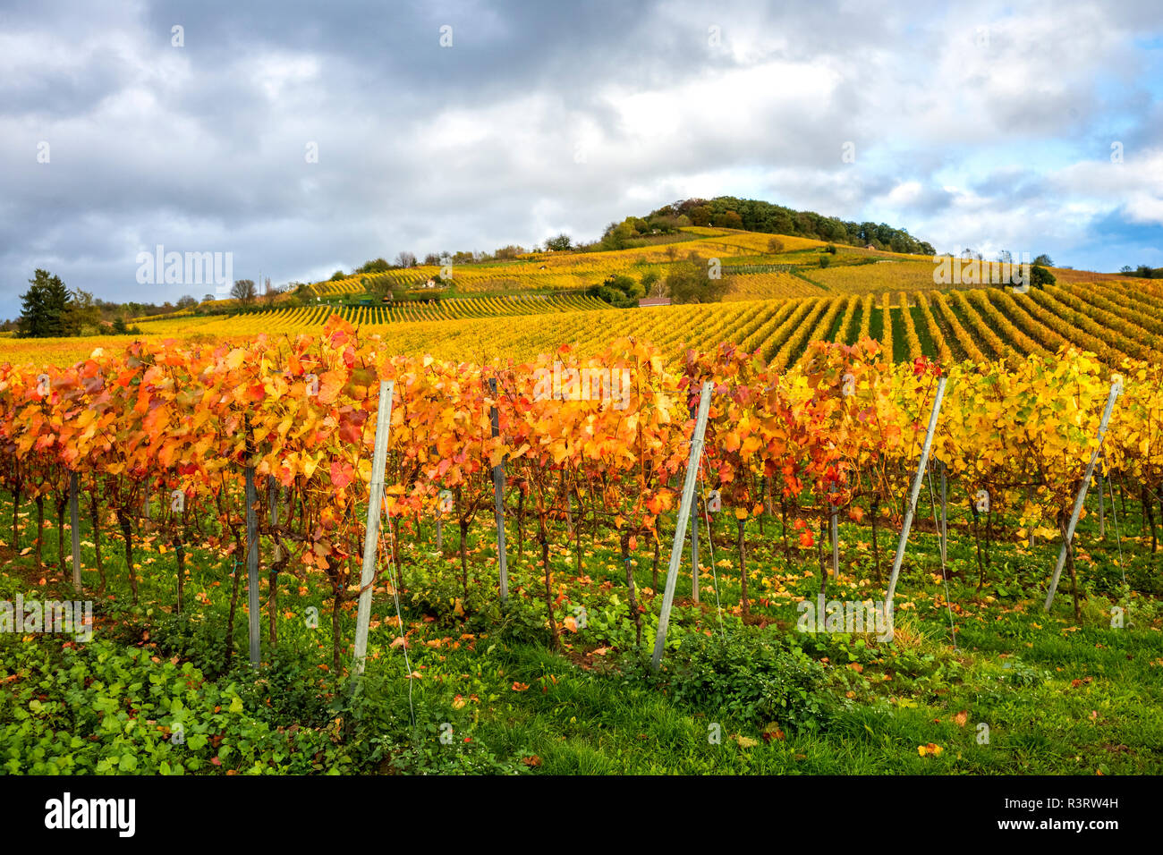Bergstrasse hi-res stock photography and images - Alamy