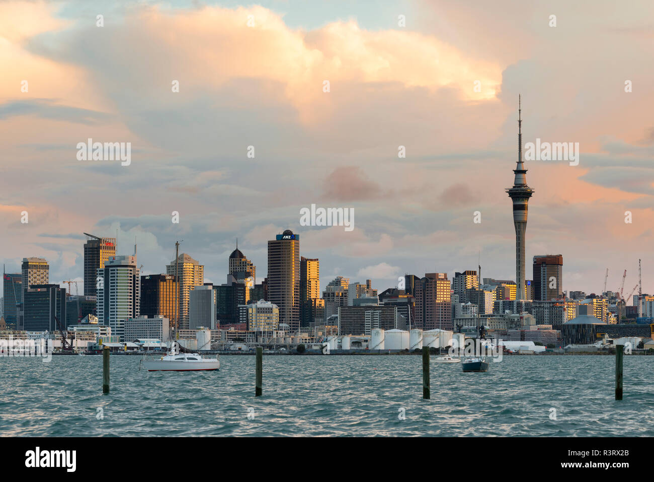New Zealand, North Island, Auckland, Auckland skyline in the evening ...