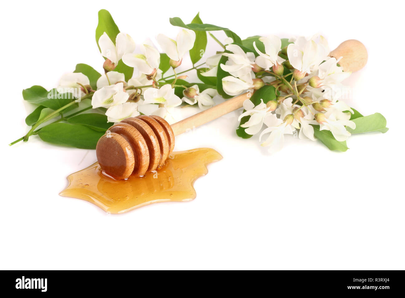 Honey stick with flowing honey and flowers of acacia isolated on white ...