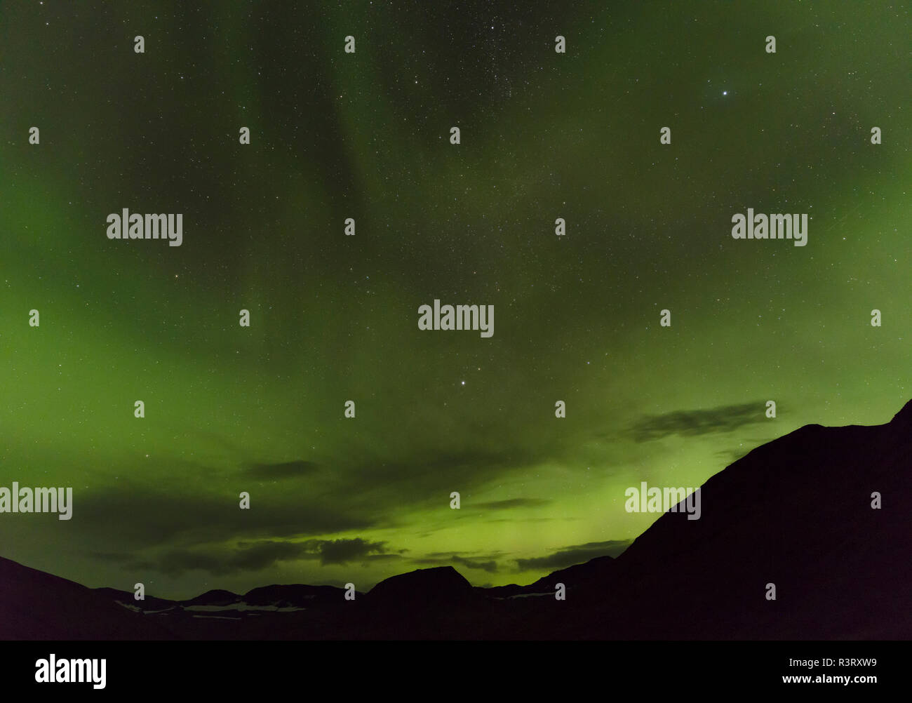 Northern Lights over Trollaskagi mountains near Olafsjordur. Northern ...