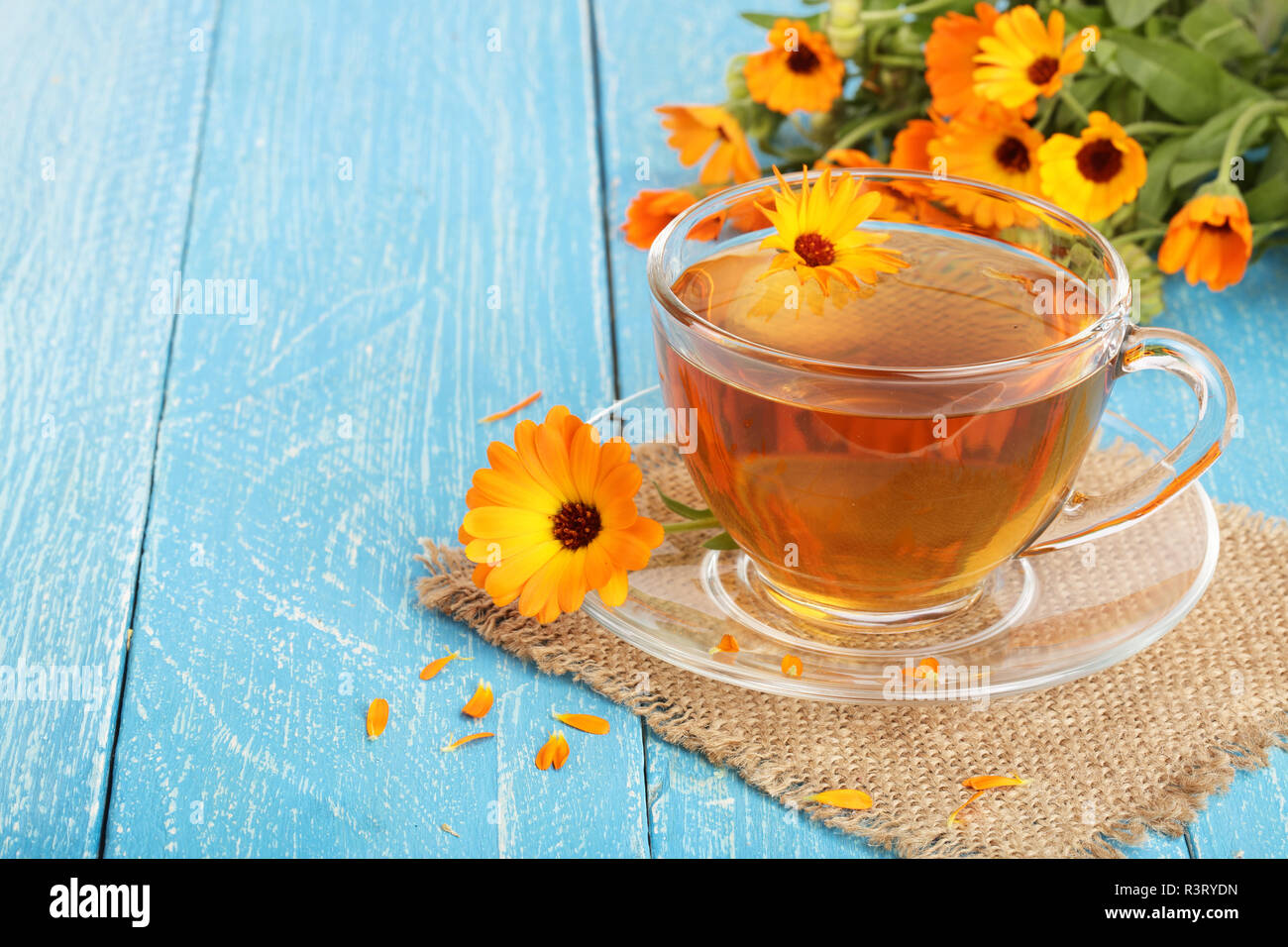 Calendula plant hi-res stock photography and images - Alamy