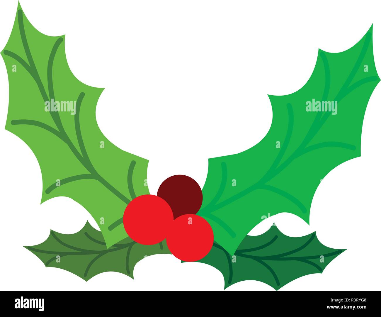christmas mistletoe over white background, vector illustration Stock ...