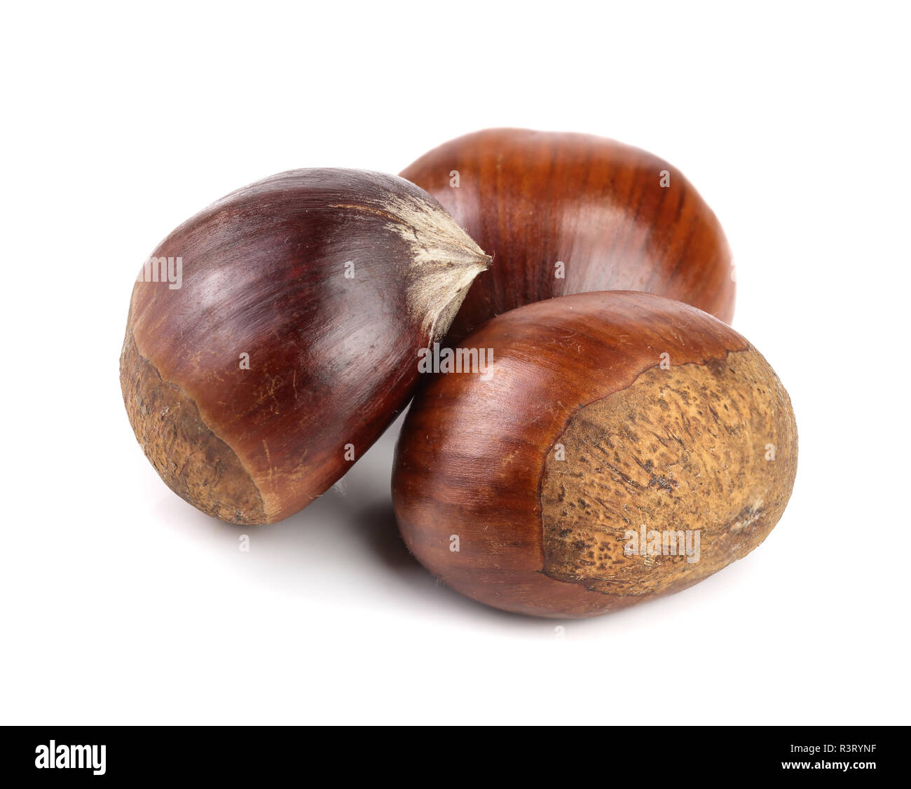 fresh edible chestnut isolated on white background Stock Photo - Alamy