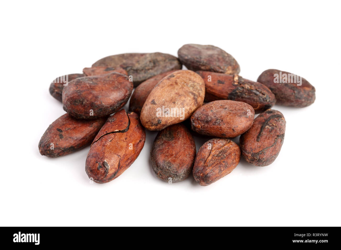 unpeeled cocoa bean isolated on white background macro top view Stock ...