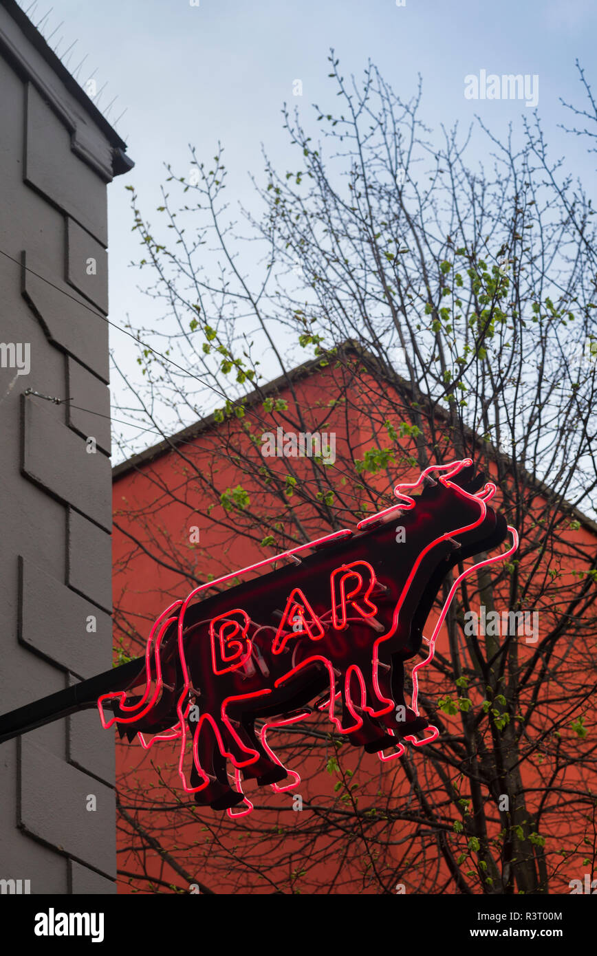 Ireland, Dublin, neon bar sign in the shape of a cow Stock Photo - Alamy