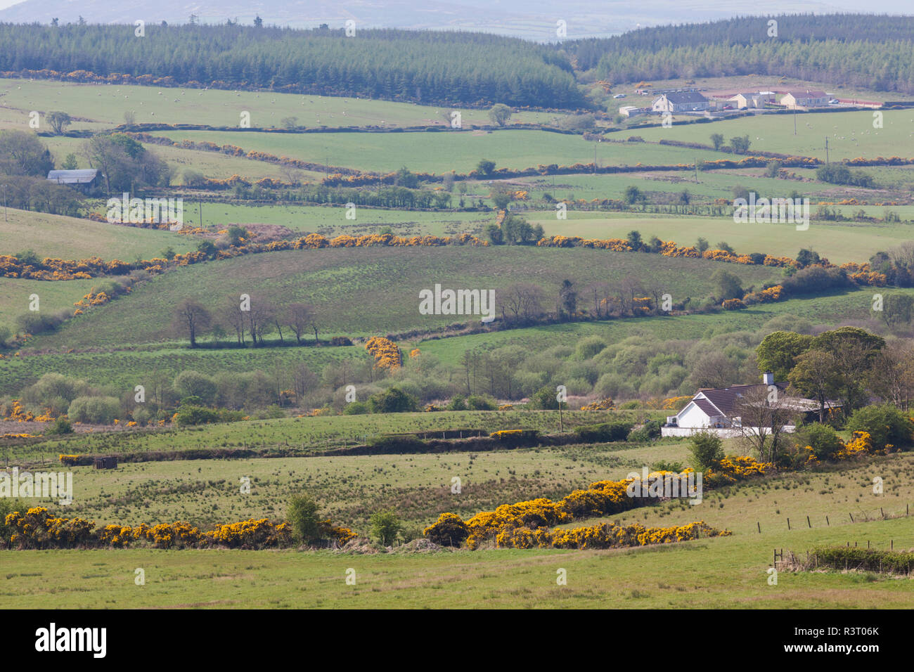 Burt county donegal hi-res stock photography and images - Alamy