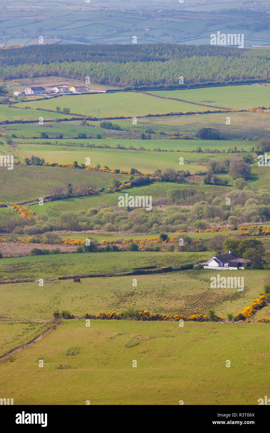 Burt county donegal hi-res stock photography and images - Alamy