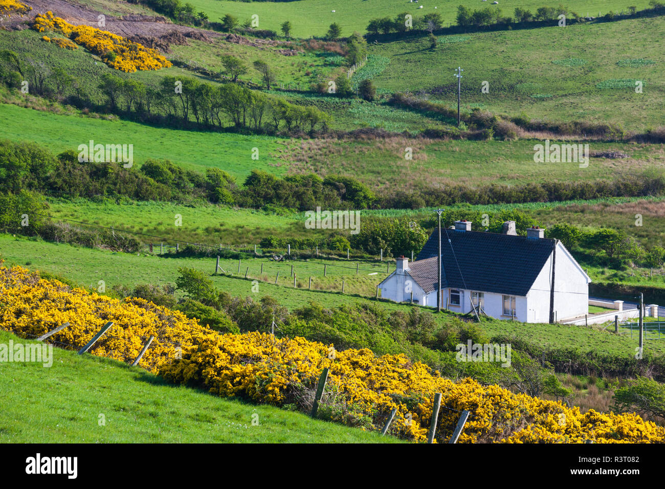 Ireland, County Donegal, Fanad Peninsula, Fanad Head, landscape Stock ...