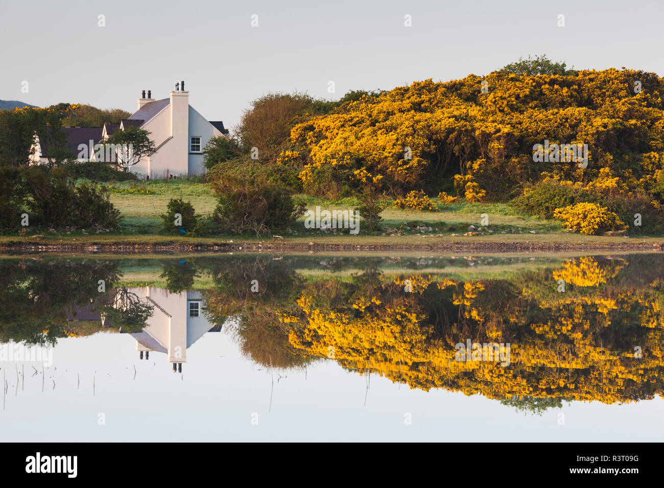 Ireland, County Donegal, Fanad Peninsula, Fanad Head, landscape Stock ...