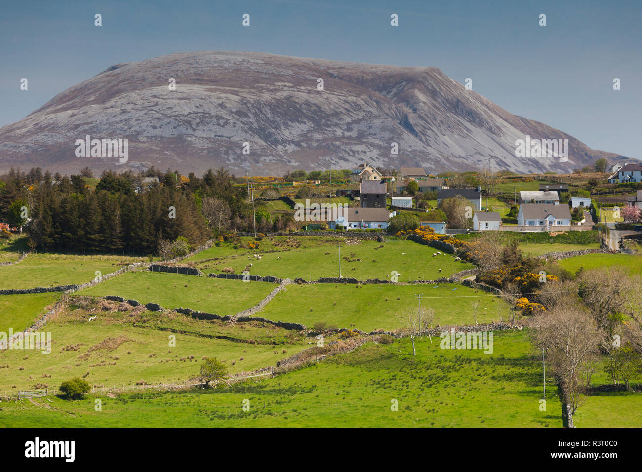 Ireland, County Donegal, Dunfanaghy, landscape by Muckish Mountain ...