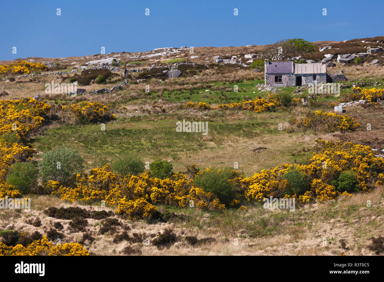 Ireland, County Donegal, Tully Beg, springtime landscape Stock Photo ...