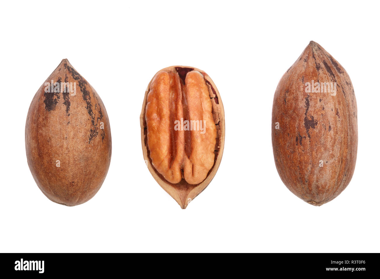 Single pecan nut isolated on white background, set of three different ...