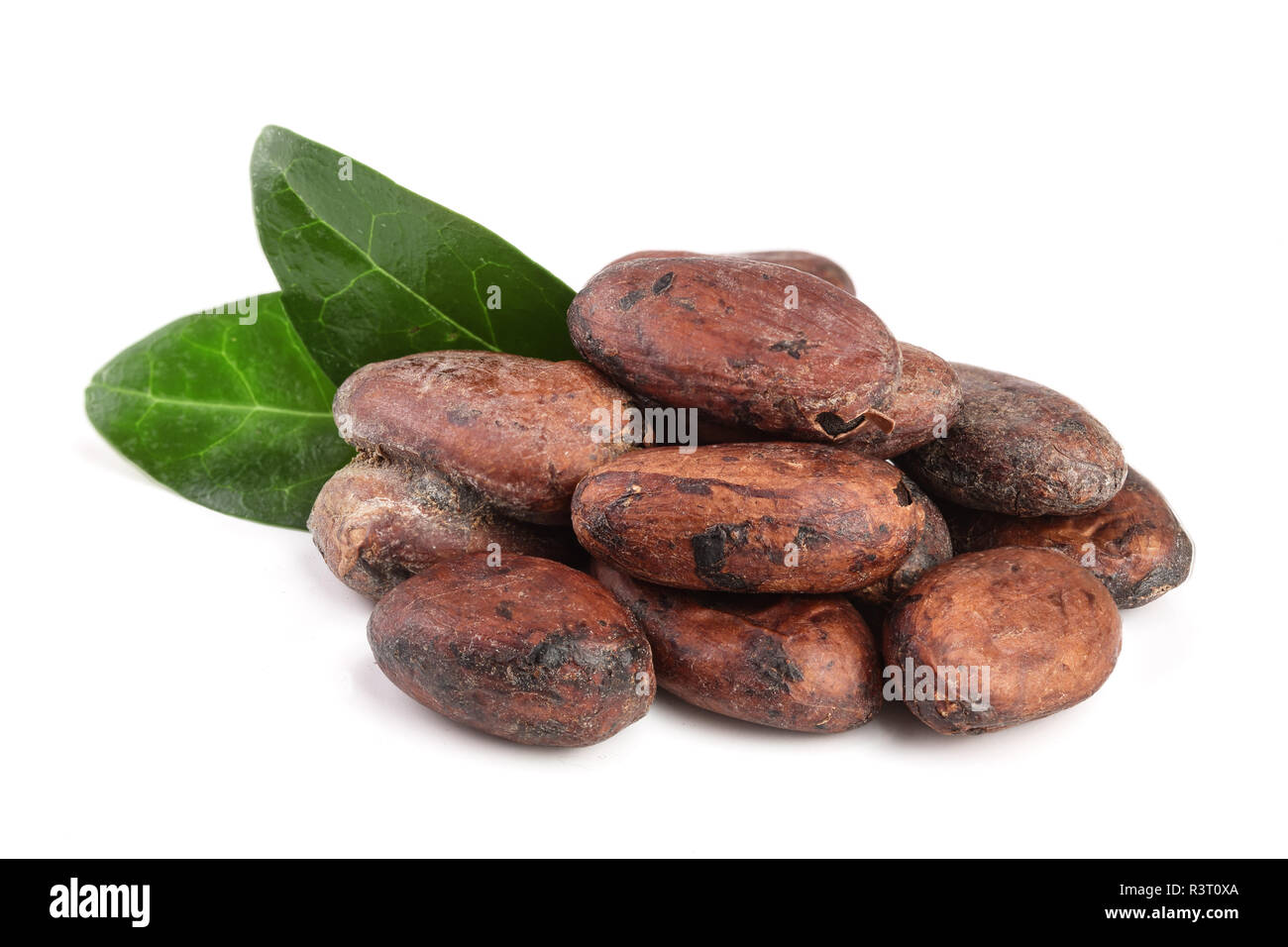 unpeeled cocoa bean with leaf isolated on white background Stock Photo ...
