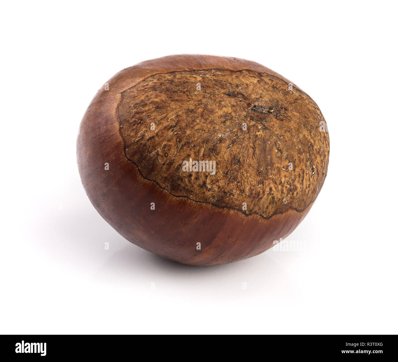 fresh edible chestnut isolated on white background Stock Photo - Alamy