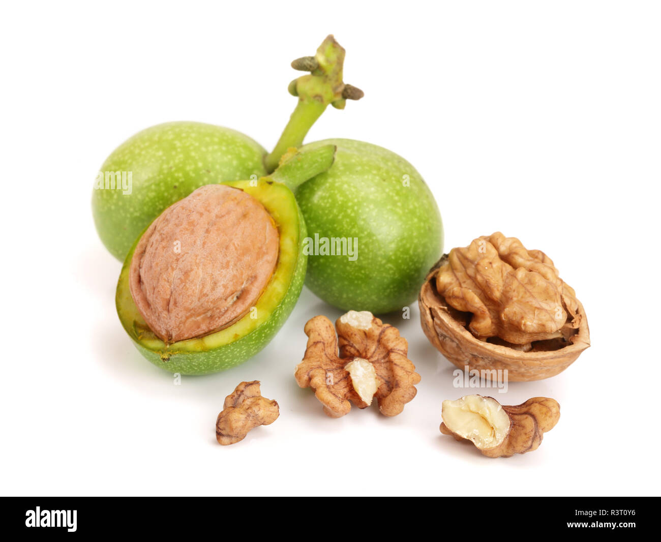 fresh walnuts in peel isolated on white background Stock Photo - Alamy
