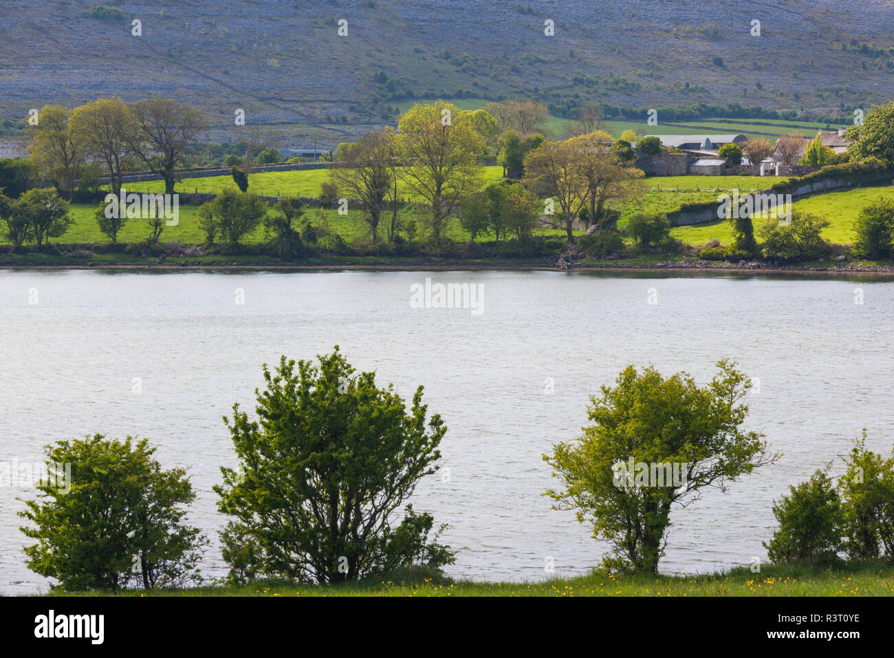 Ireland, County Clare, The Burren, Ballyvaughan, landscape Stock Photo ...
