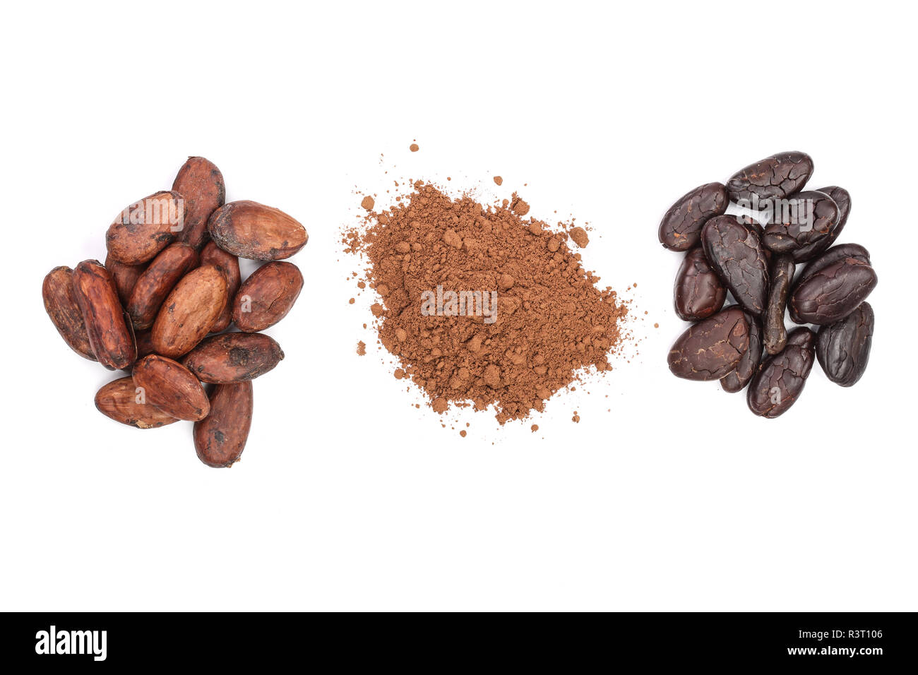 cocoa bean and cocoa powder isolated on white background top view Stock ...