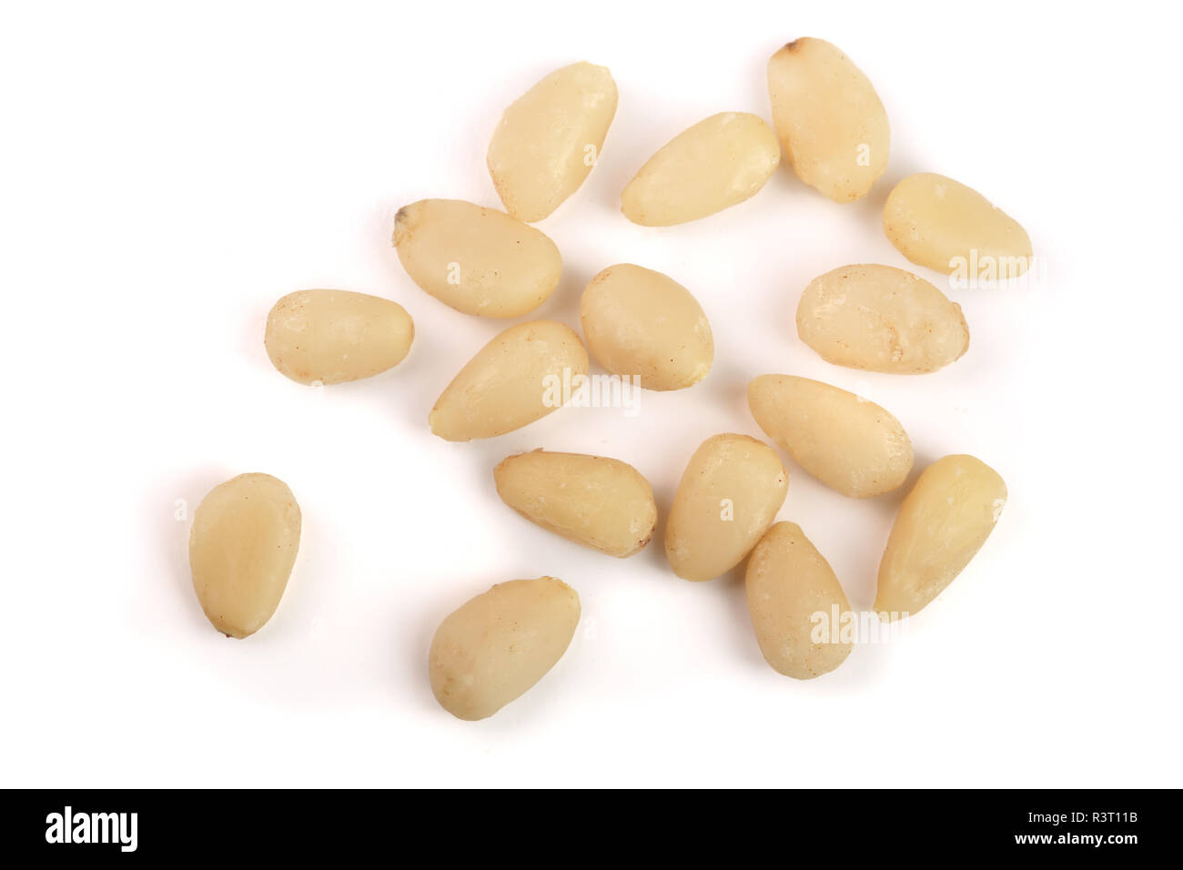 Isolated nut top view Cut Out Stock Images & Pictures - Alamy