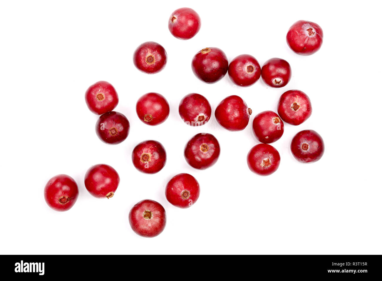 Cranberry isolated on white background closeup top view Stock Photo - Alamy
