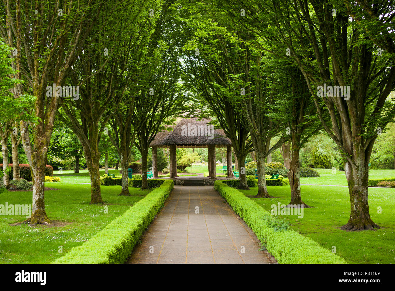 Ireland, County Limerick, Adare, Ireland's prettiest village, village ...