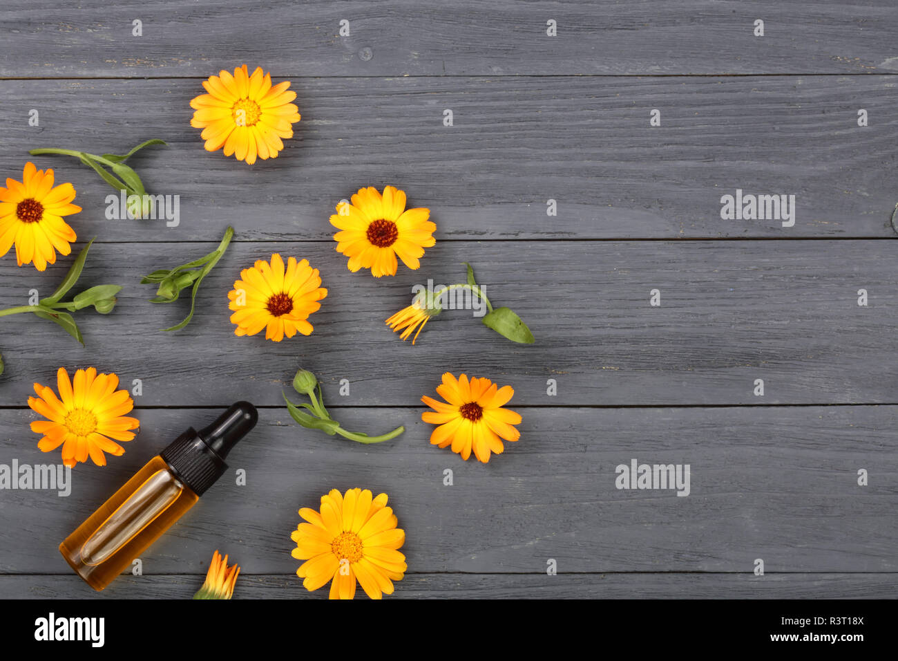 aromatherapy essential oil with marigold flowers on black background ...