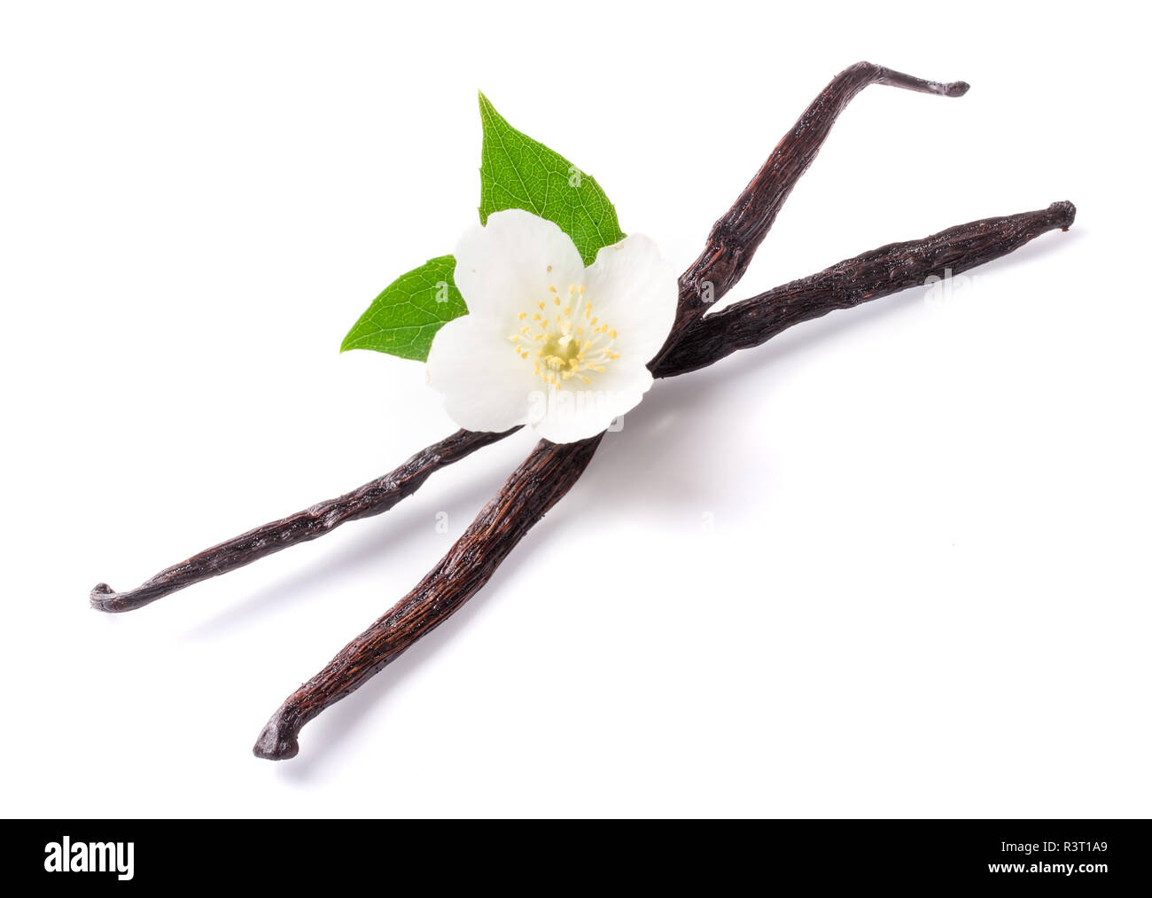 Vanilla sticks with flower and leaf isolated on white background Stock ...
