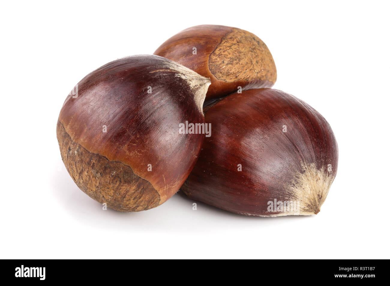 fresh edible chestnut isolated on white background Stock Photo - Alamy