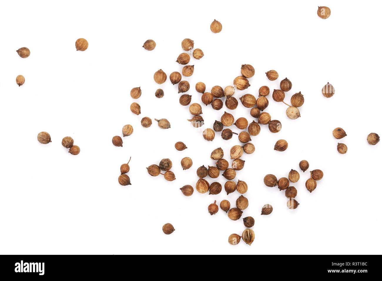 Coriander seeds isolated on white background top view Stock Photo - Alamy