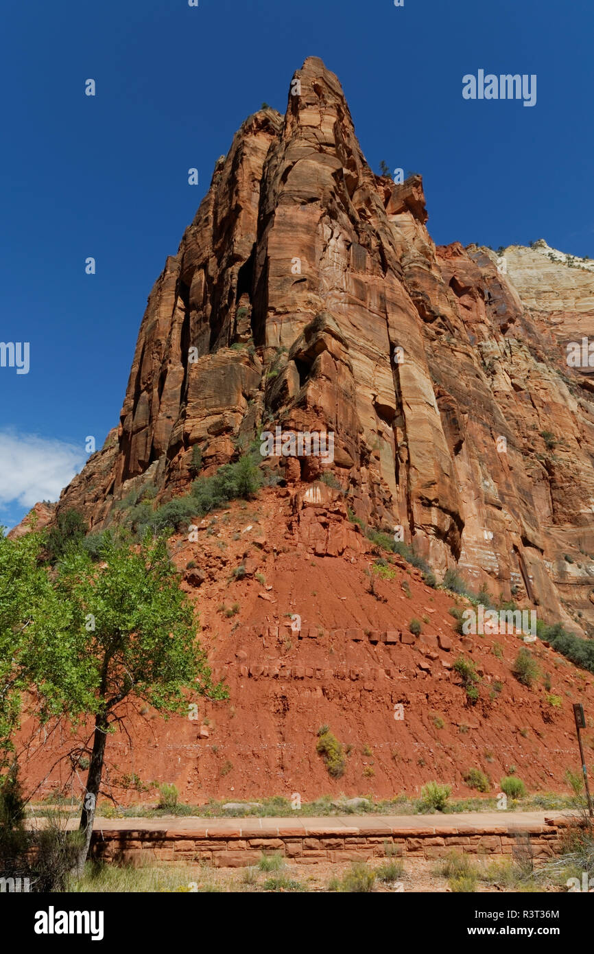Zion horse ranch mountain hi-res stock photography and images - Alamy
