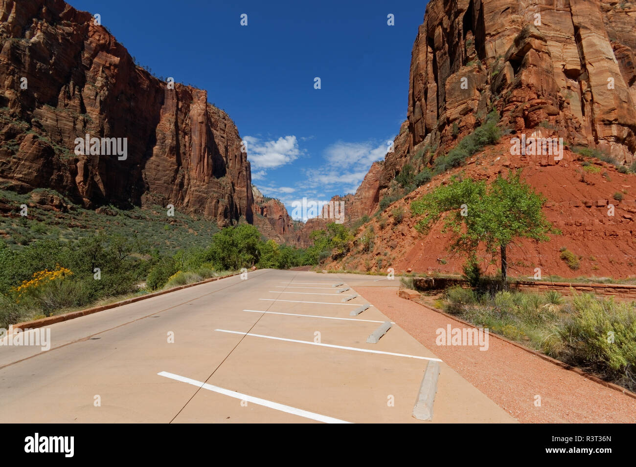 zion national park Stock Photo - Alamy