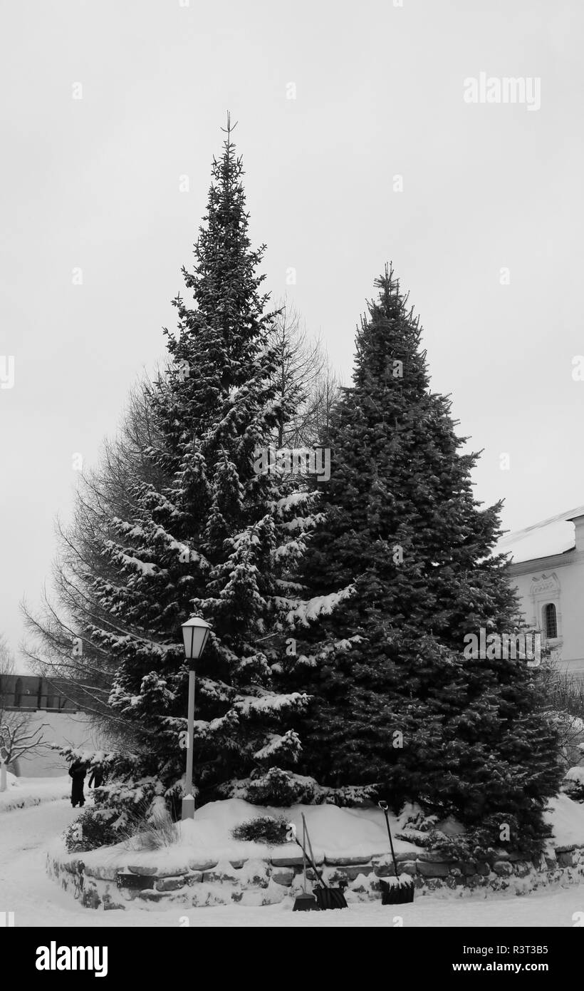 Green present Black and White Stock Photos & Images - Alamy