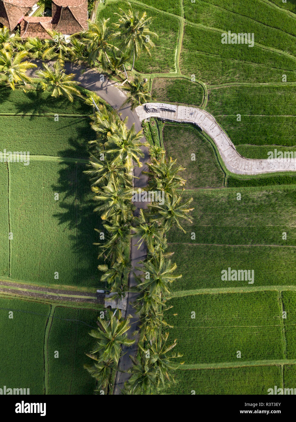 Aerial view rice field structure hi-res stock photography and images ...