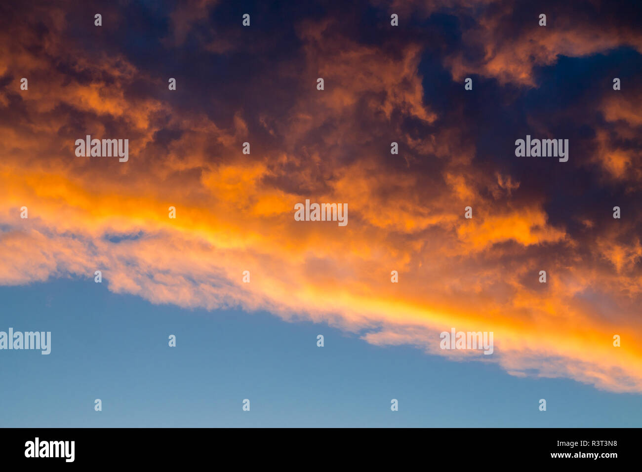 Menacing scary dark scene hi-res stock photography and images - Alamy