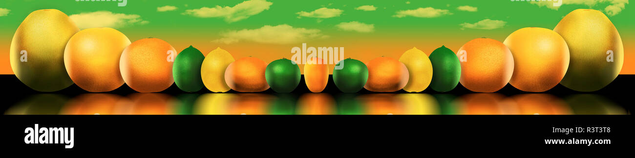 Eight popular citrus fruits are pictured. These include: pomelo ...