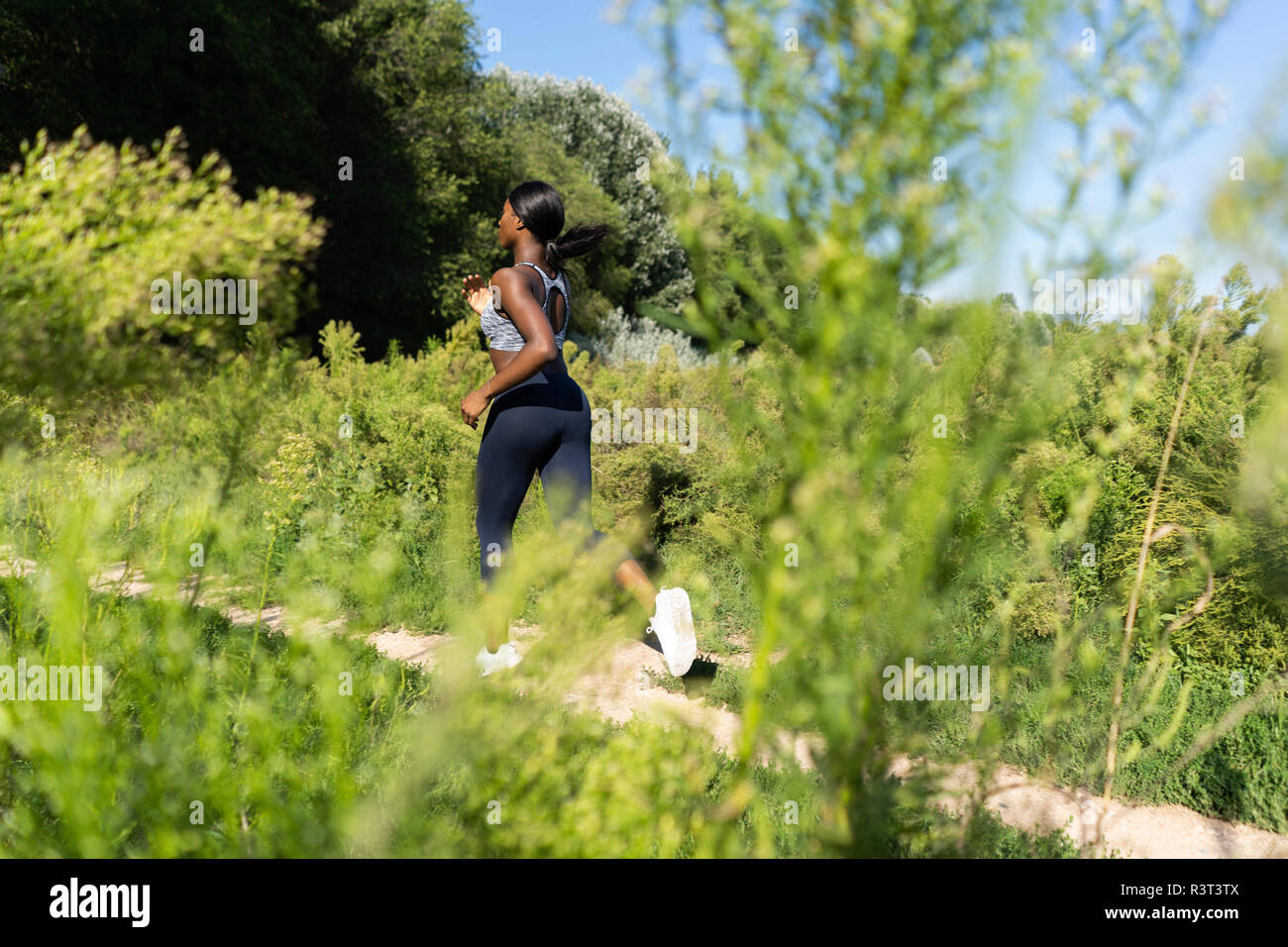 Fields athlete hi-res stock photography and images - Alamy