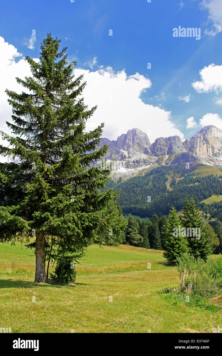 Rosengartengruppe hi-res stock photography and images - Alamy