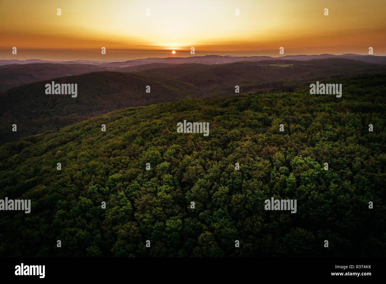 Vienna woods austria hi-res stock photography and images - Alamy